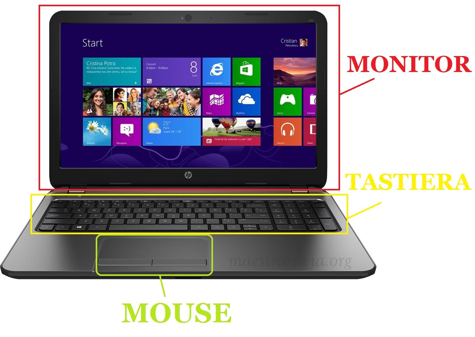 Lezione sui componenti del computer con gioco e verifica finale (per ...